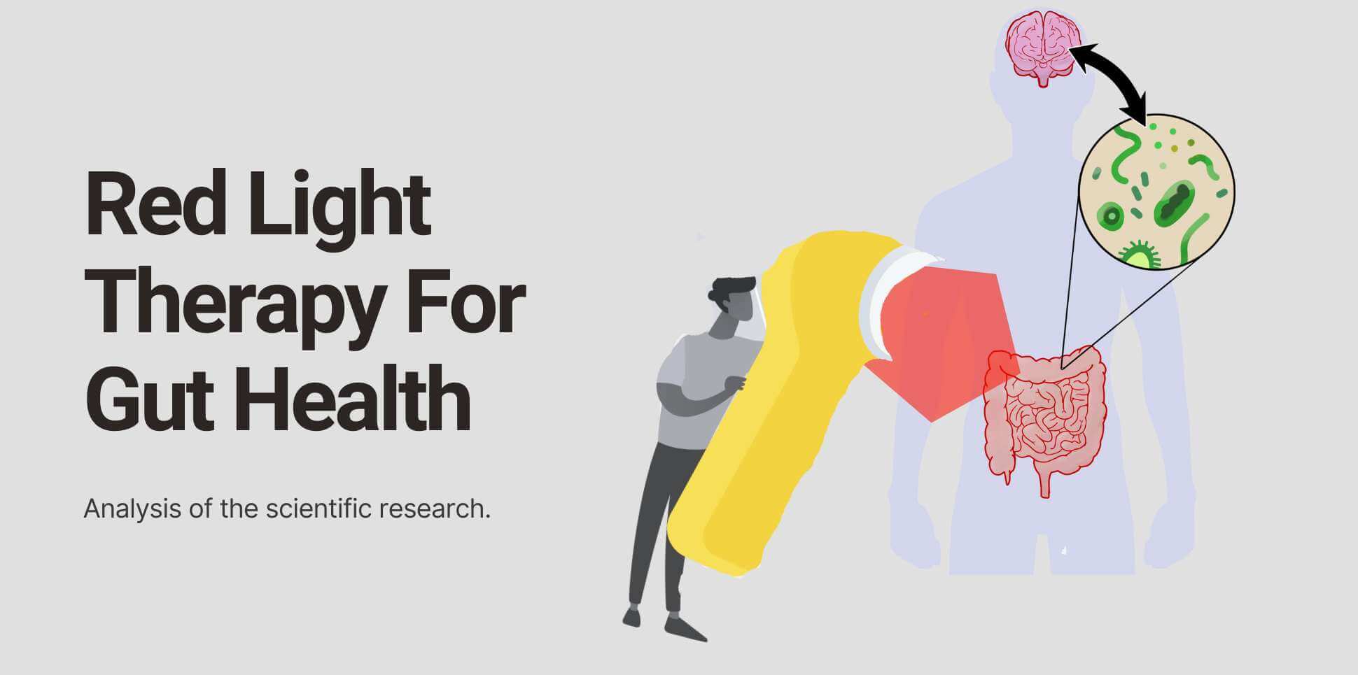 Red Light Therapy For Gut Health - The Scientific Research | CuraYou ...